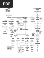Pathway Syok Sepsis | PDF