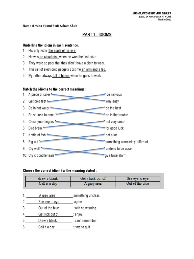 Part 1: Idioms: Underline The Idiom in Each Sentence | PDF