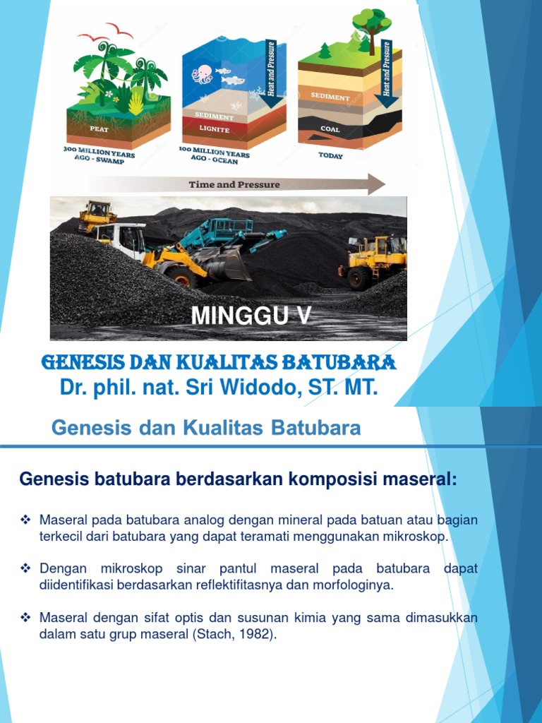 Genesis Dan Kualitas Batubara Pertemuan 5 2 | PDF