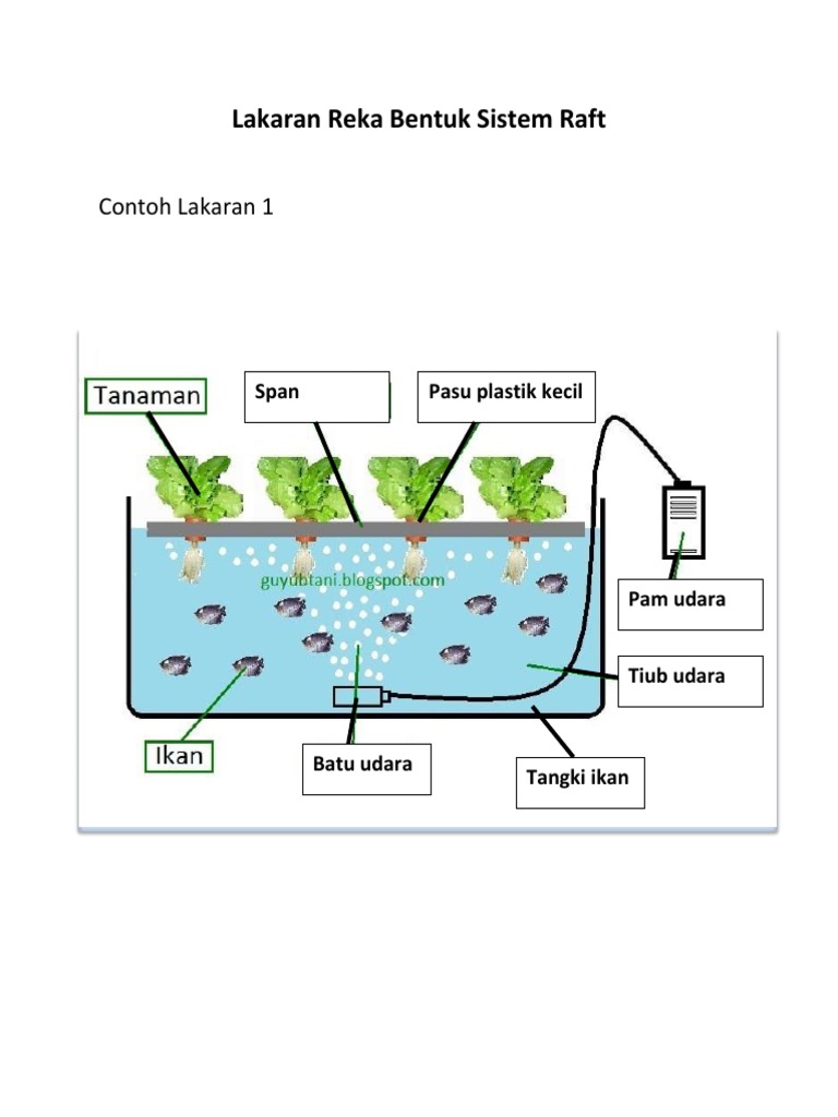 Lakaran Reka Bentuk Sistem Akuaponik Raft | PDF