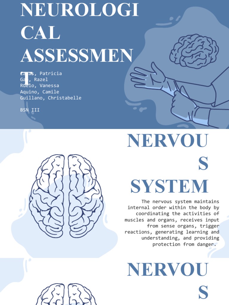 Neurological Assessment | PDF | Neuron | Nervous System