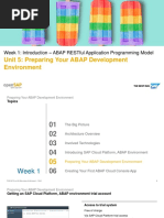 Unit 6: Creating Your First Abap Cloud Console App: Week 1: Introduction - Abap Restful ...