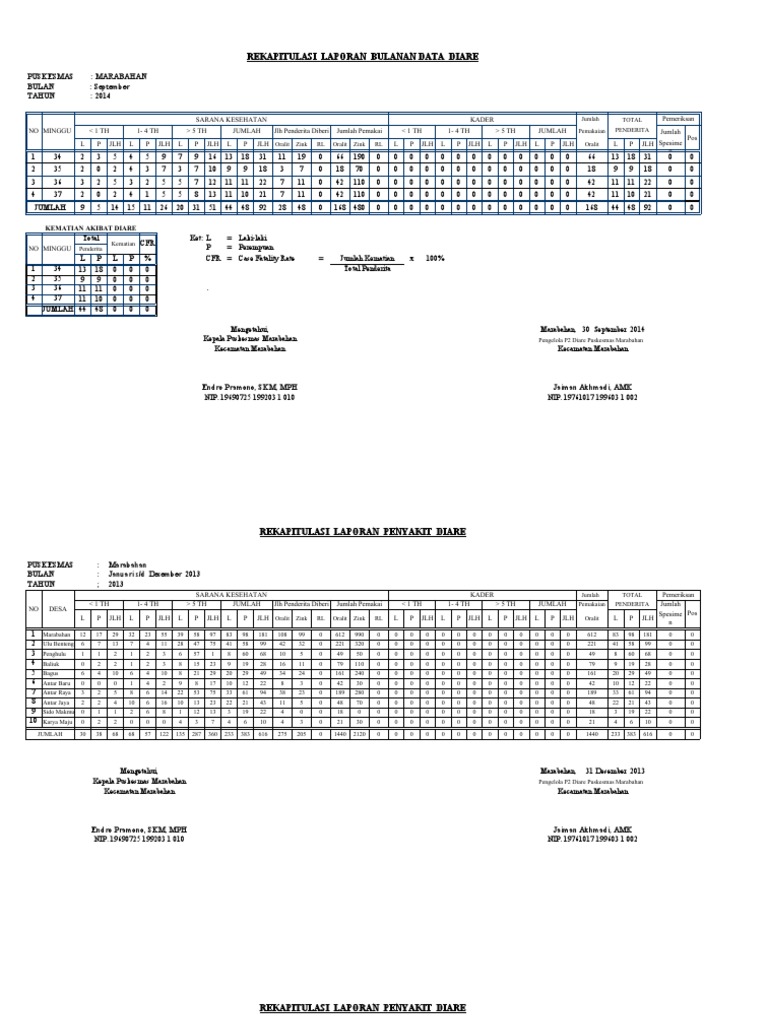 Contoh Laporan Ispa Dan Diare Program Puskesmas | PDF