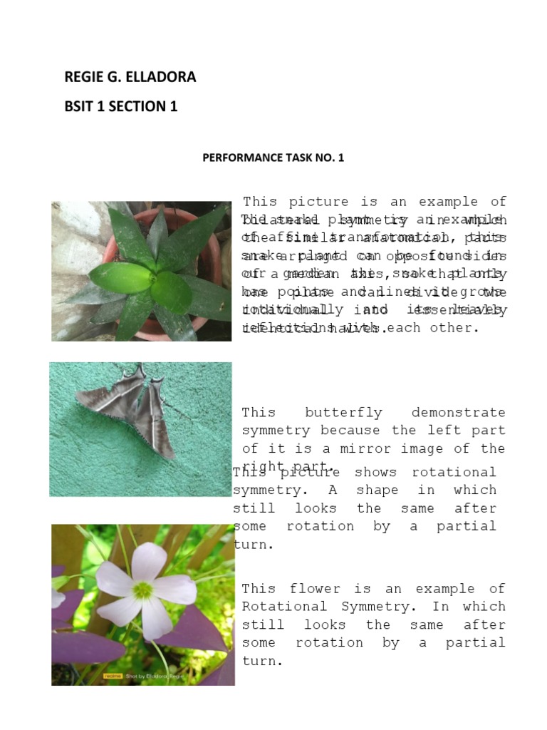 Performance Task in MMW | PDF Performance Task in MMW | PDF