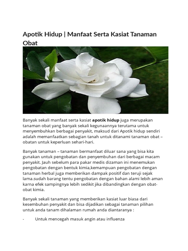 Apotik Hidup | PDF