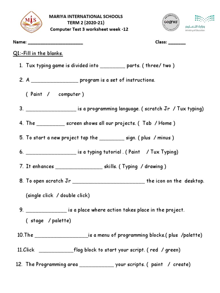 Computer Worksheet Week 12 | PDF
