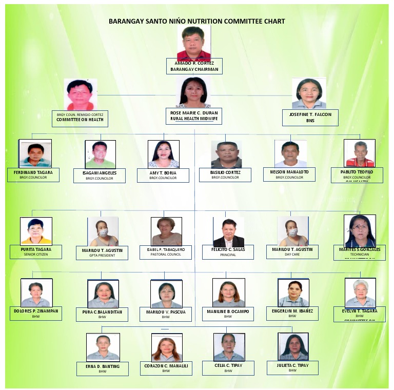Barangay Nutrition Committee Chart | PDF | Wellness