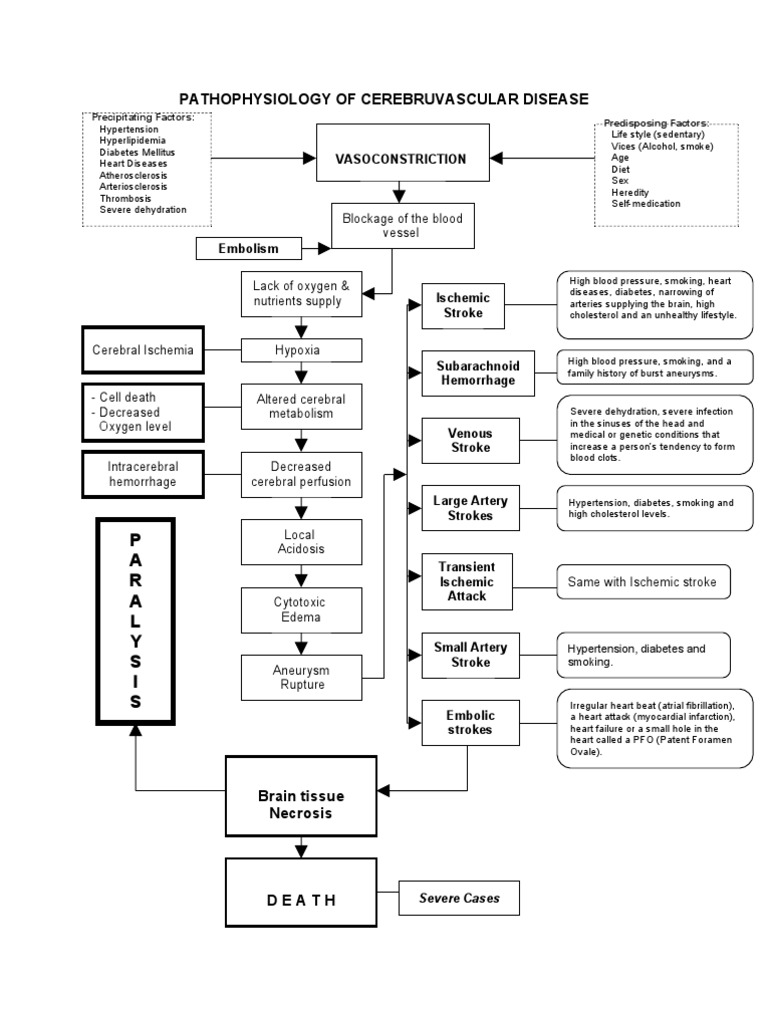 Pathophysiology of Stroke | PDF | Stroke | Ischemia