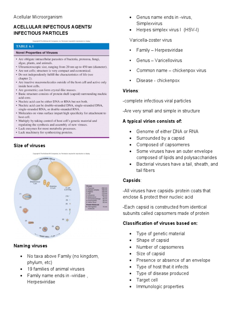 Acellular Infectious Agents/ Infectious Particles | PDF | Bacteriophage ...
