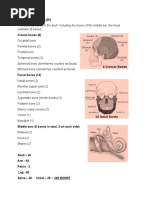 Human Body Bones List (206) | PDF | Vertebra | Toe