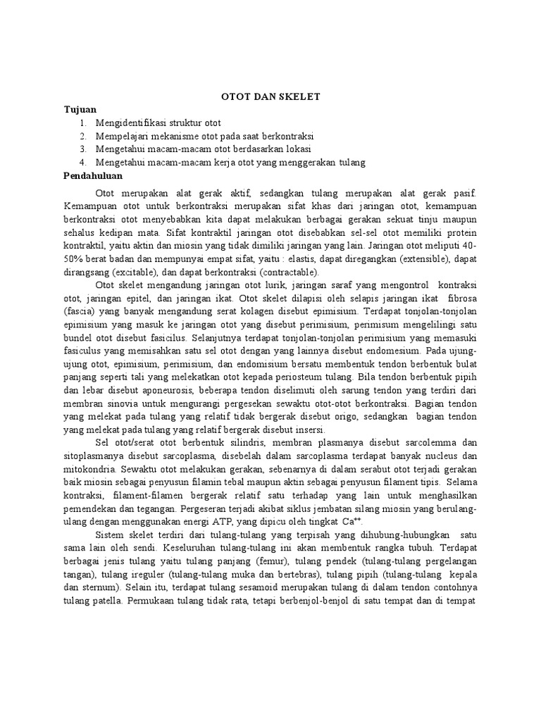 Lks SISTEM OTOT (1) - Dikonversi | PDF