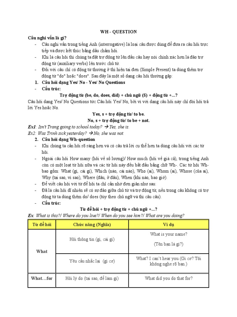 WH Questions | PDF