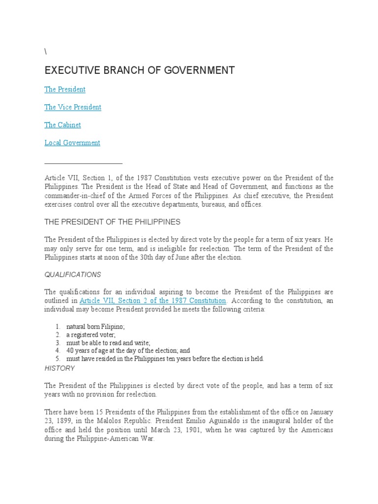 An In-Depth Look at the Executive Branch of Government in the ...