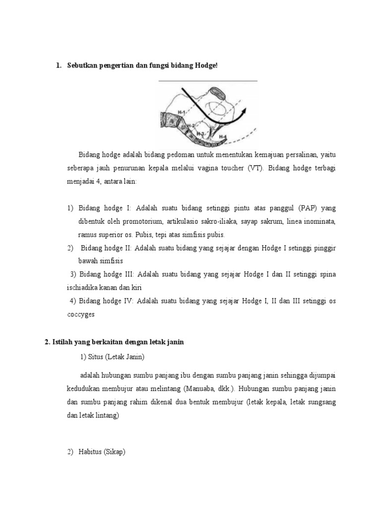 Bidang Hodge | PDF