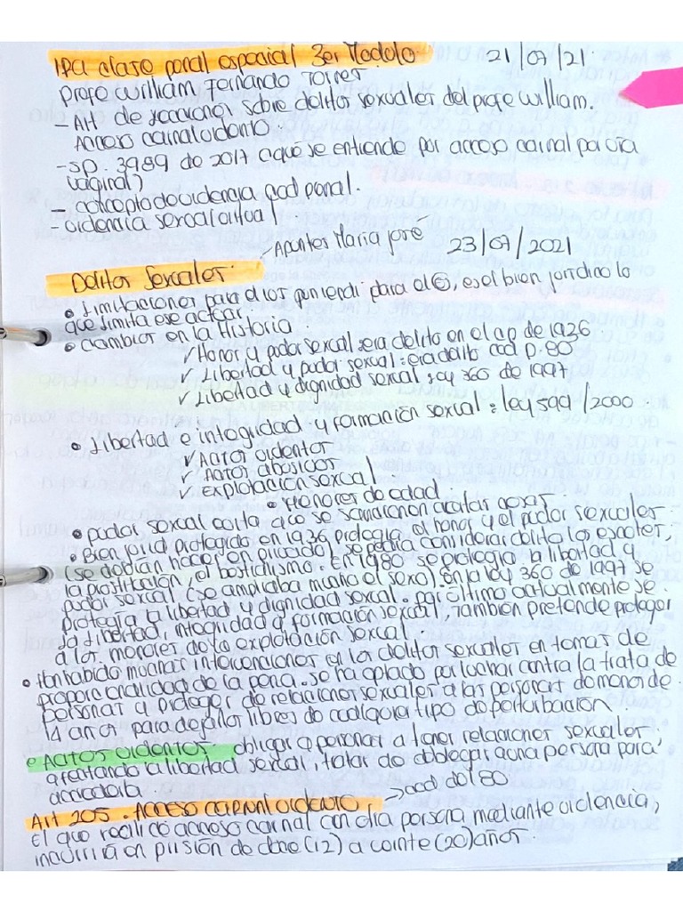 3ro Módulo Penal Especial | PDF