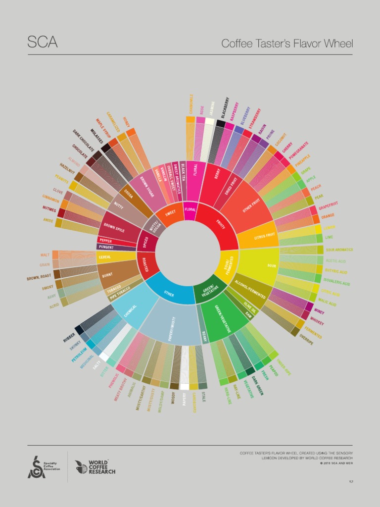 SCA-WCR-Coffee Taster's Flavor Wheel (2016) | PDF