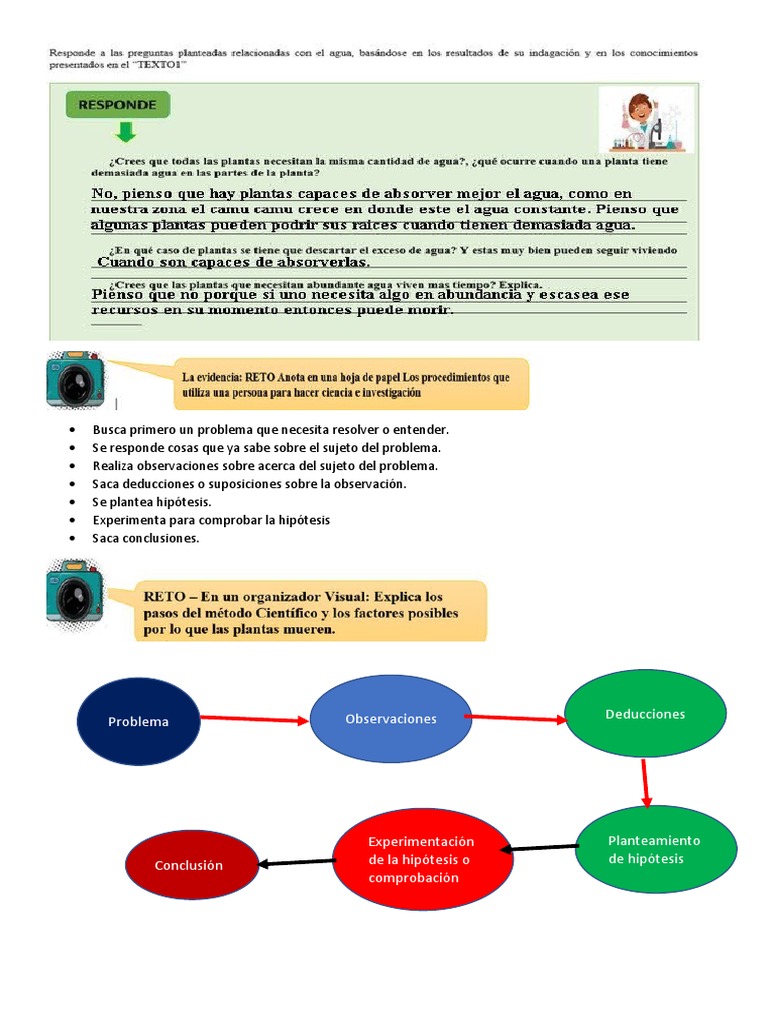 Pasos Del Metodo Cientifico | PDF