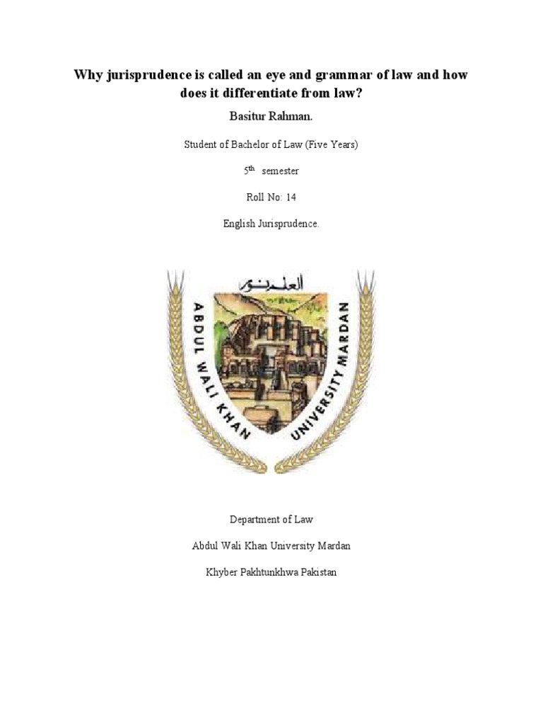 Assignment | PDF | Jurisprudence | Theory