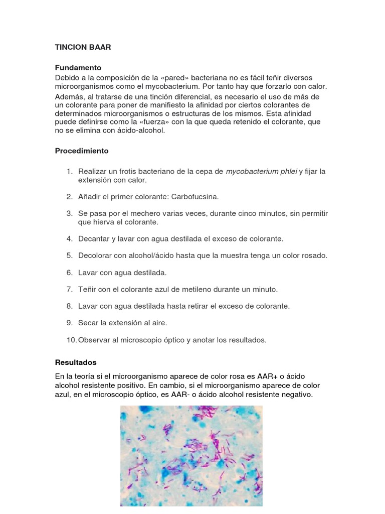 Procedimiento de Tinción BAAR | PDF