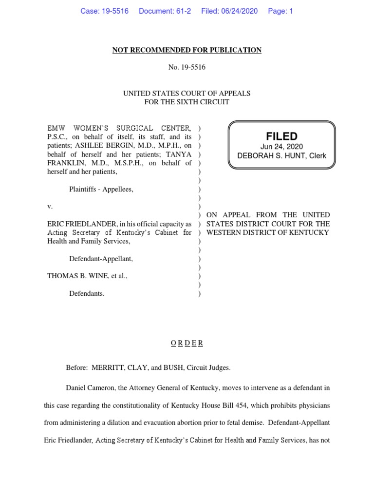 Cameron Intervention Order | PDF | Intervention (Law) | Lawsuit