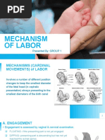 Stages of Labor | PDF | Childbirth | Pelvis