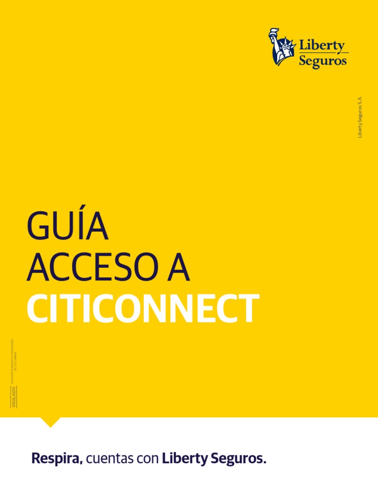 Guia Final Citiconnect | PDF | Contraseña | Tecnologías de la información