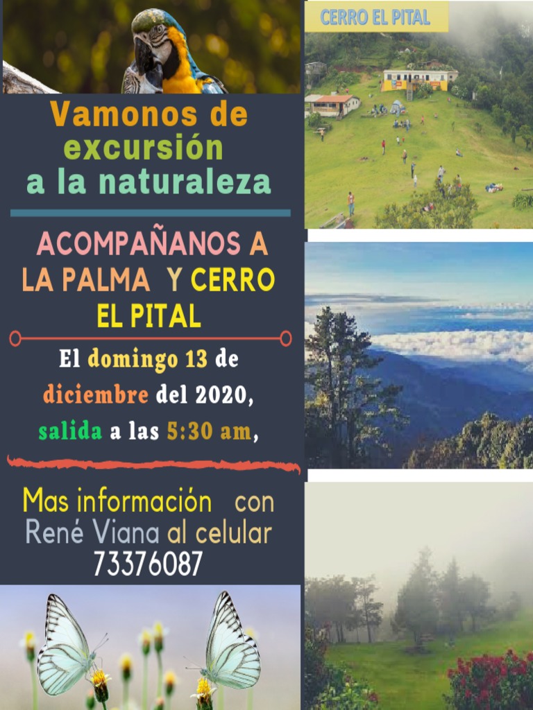 Excursión a La Palma y Cerro El Pital | PDF | Cocina, comidas y vino