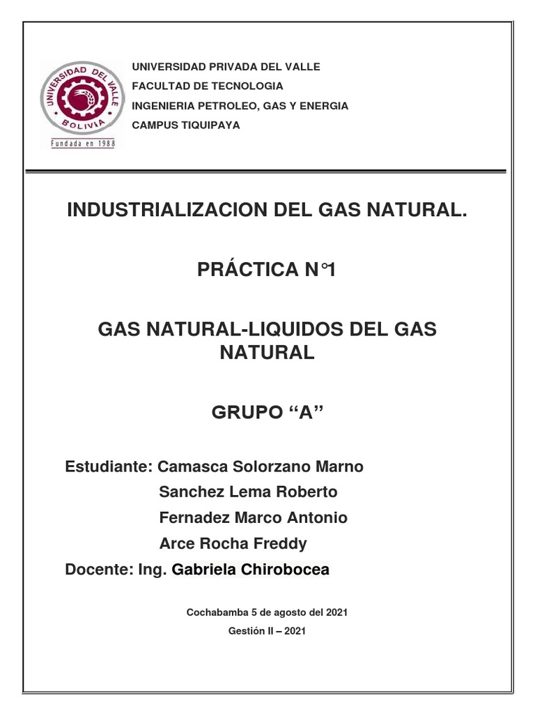Composición y Definición del Gas Natural | PDF | Gas natural | Petróleo