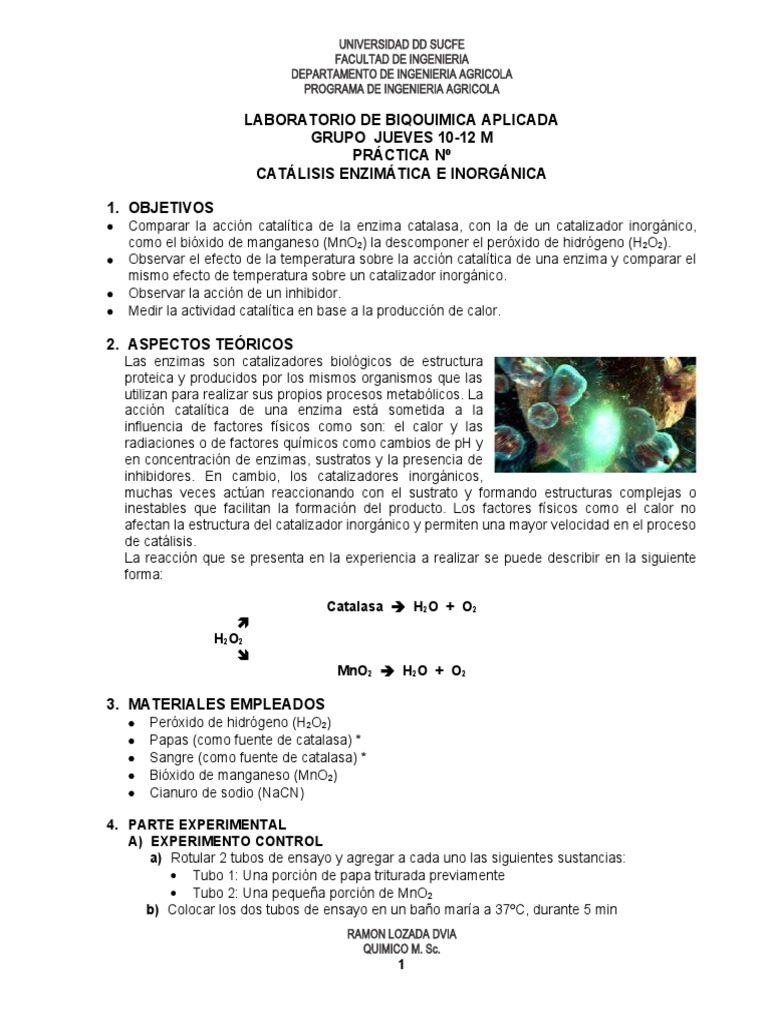 Guia de Laboratorio de Catalisis Enzimatica e Inorganica | PDF ...