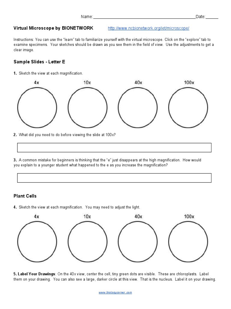 Virtual Microscope by BIONETWORK | PDF | Microscope | Drawing