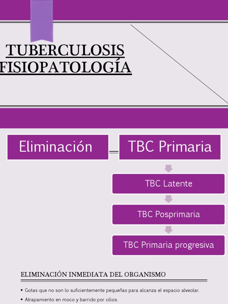 Understanding the Stages and Pathophysiology of Tuberculosis | PDF