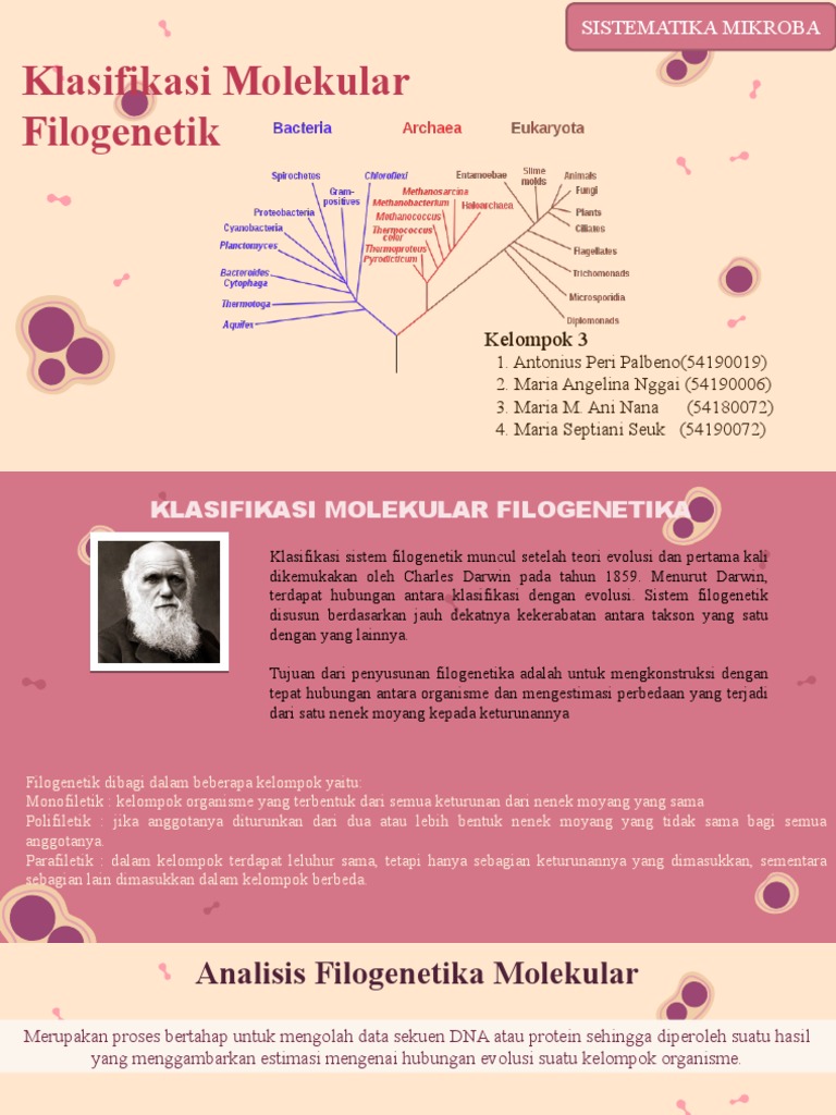 Kel III (Klasifikasi Molekular Filogenetik) | PDF