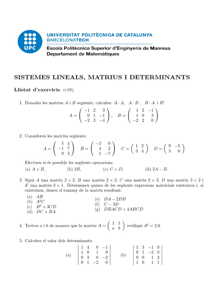 Matrius Exercicis Enunciats v19 | PDF