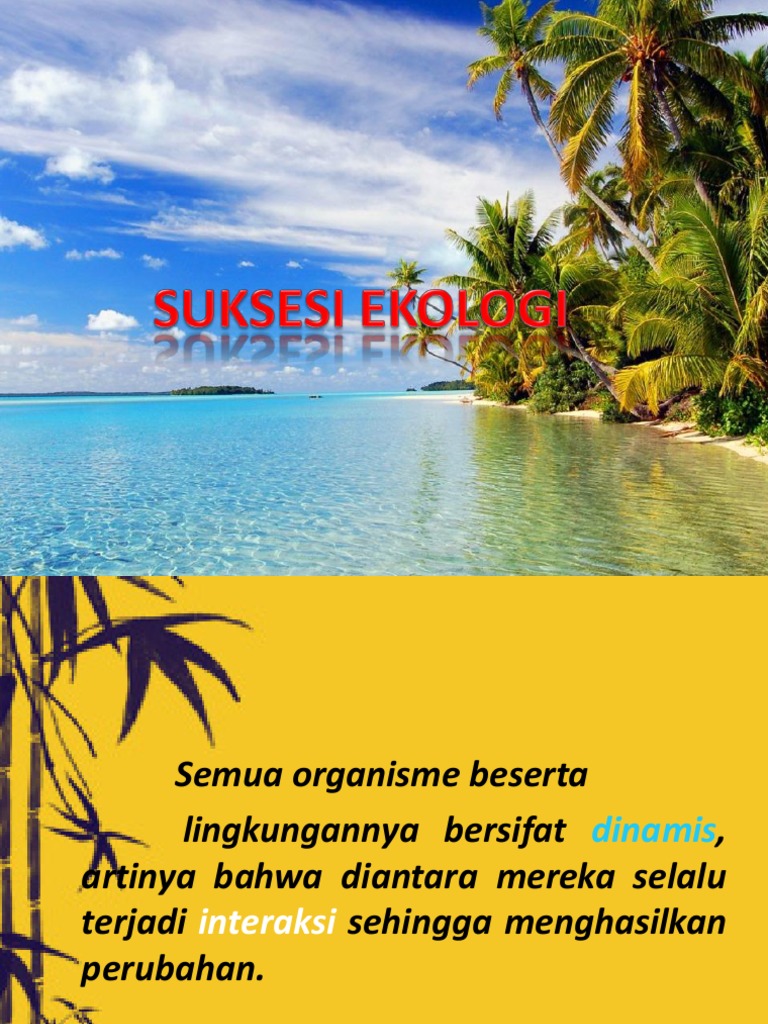 Suksesi Ekologi (Ok) | PDF | Sains & Matematika