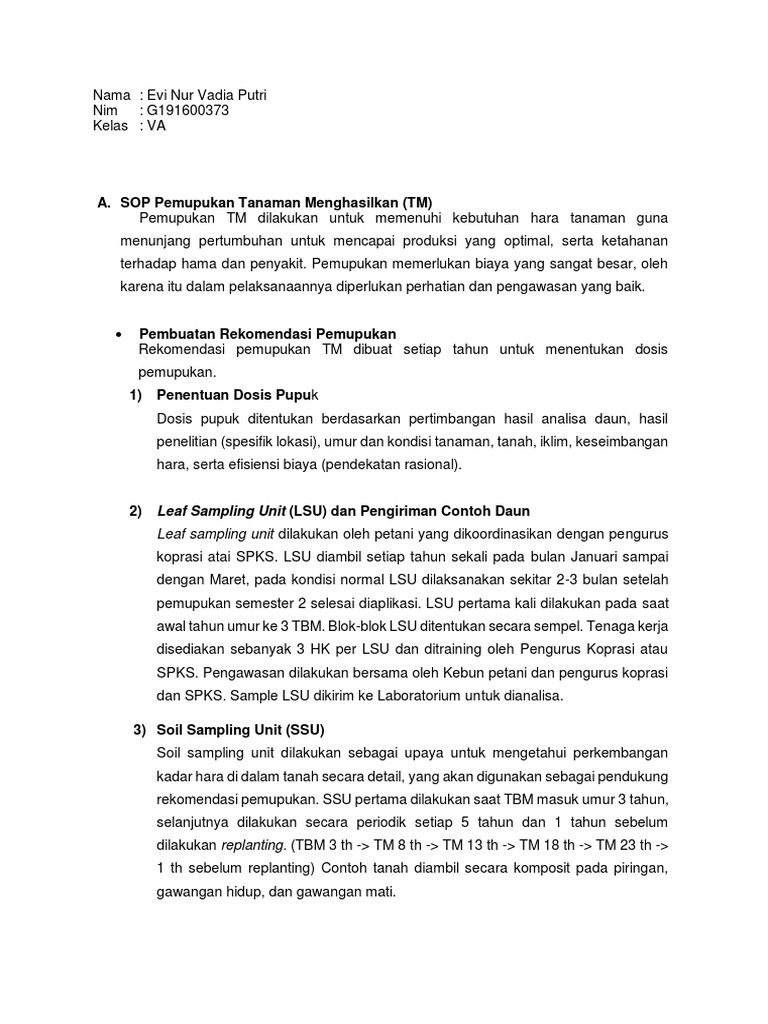 A. SOP Pemupukan Tanaman Menghasilkan (TM) | PDF