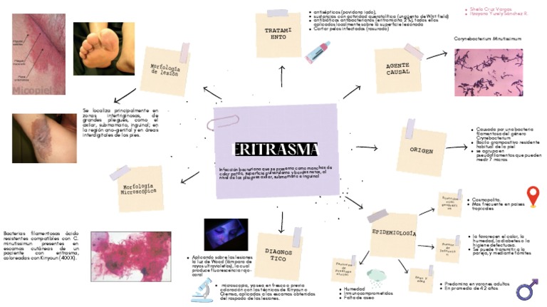 Eritrasma | PDF | Medicina | Biología