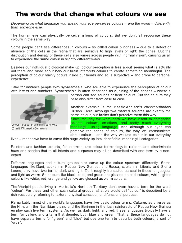 How Language Shapes Color Perception | PDF | Color | Perception