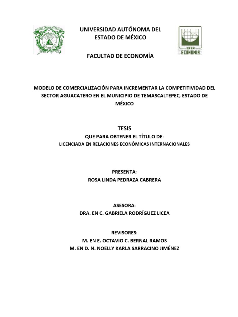 Modelo de Comercialización Aguacate Temascaltepec | PDF | Marketing ...