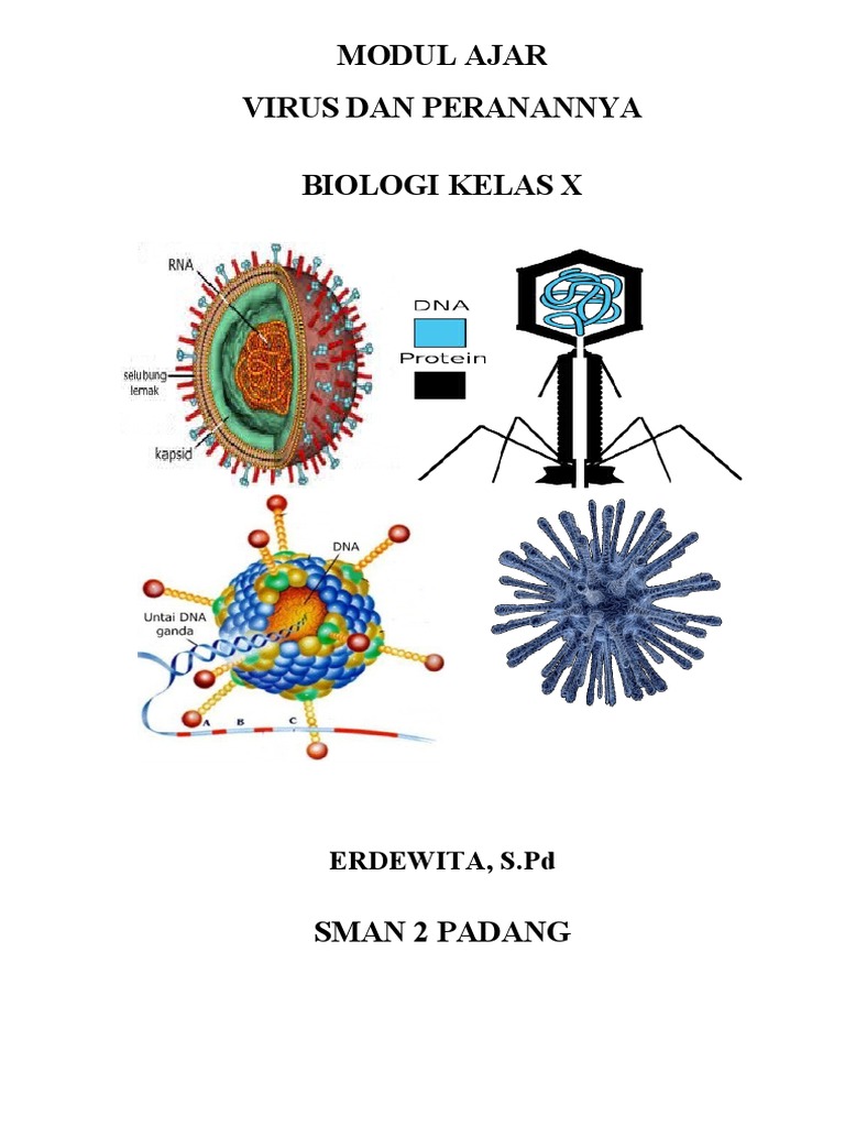 Modul Ajar Virus Kelas X Biologi | PDF | Sains & Matematika