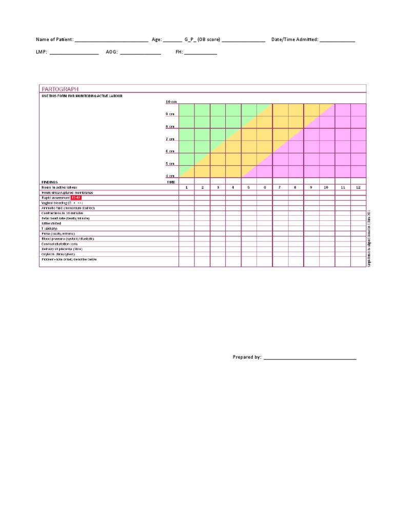 Partograph Form | PDF