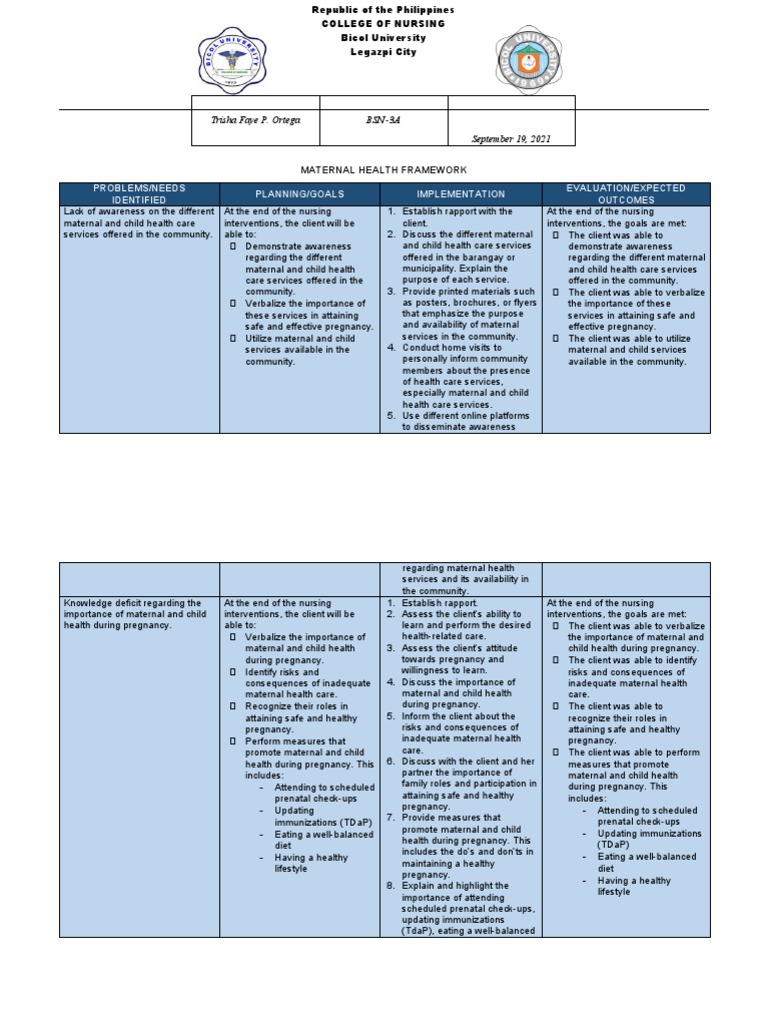Maternal Health Framework | PDF | Maternal Health | Family Planning