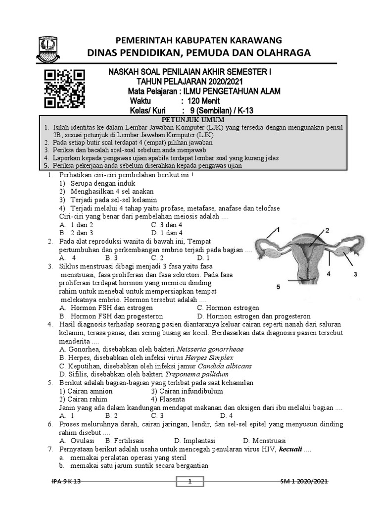 Ipa k.13 Kls Ix Edit | PDF