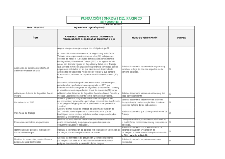 Estándares Mínimos Resolución 312 de 2019 | PDF
