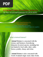 Swine Terminology | PDF | Pig | Livestock