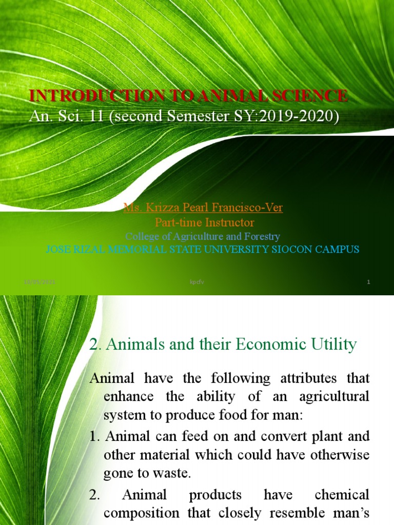 Economic Importance of Farm Animals | PDF | Sheep | Duck