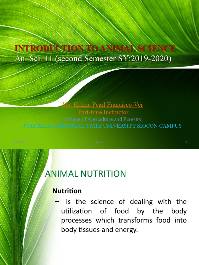 Animal Nutrition | PDF | Animal Nutrition | Animal Feed