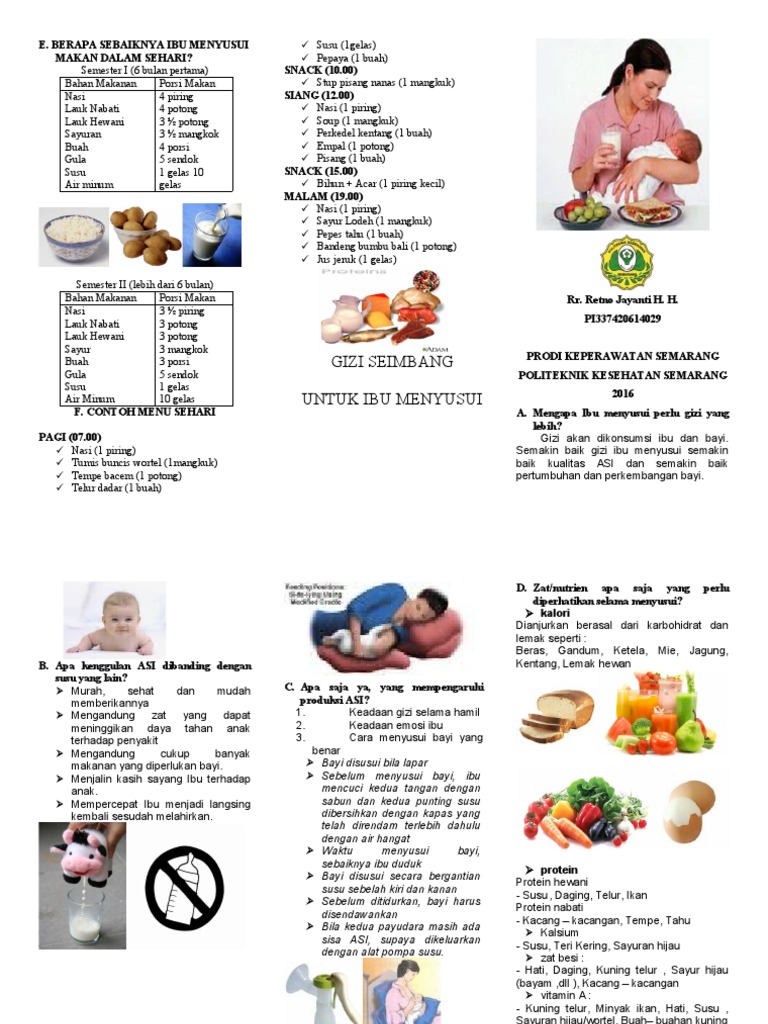 Leaflet Nutrisi Ibu Menyusui | PDF