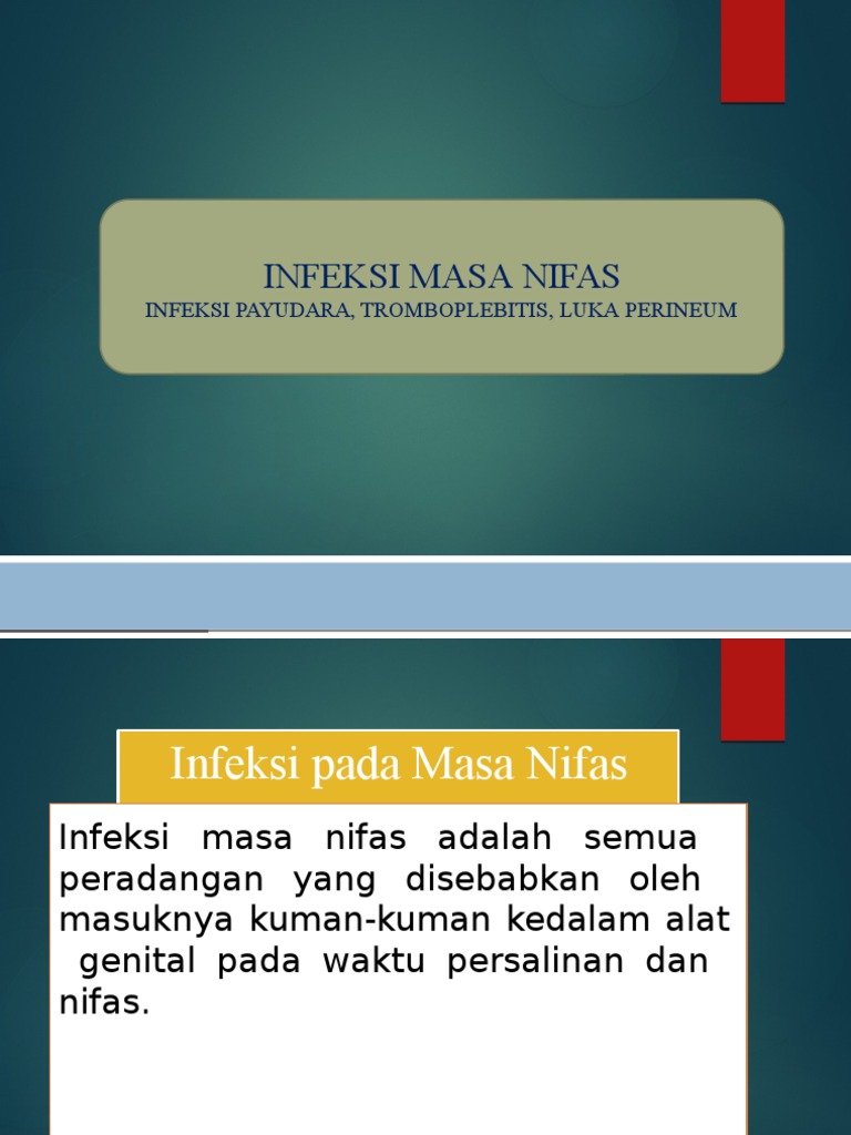 Infeksi Masa Nifas | PDF