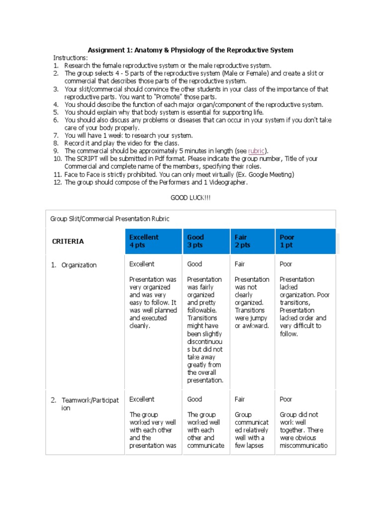 Anatomy of The Reproductive System Assignment 1 | PDF | Rubric ...