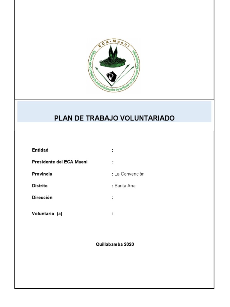 Modelo Plan de Trabajo Voluntarios | PDF